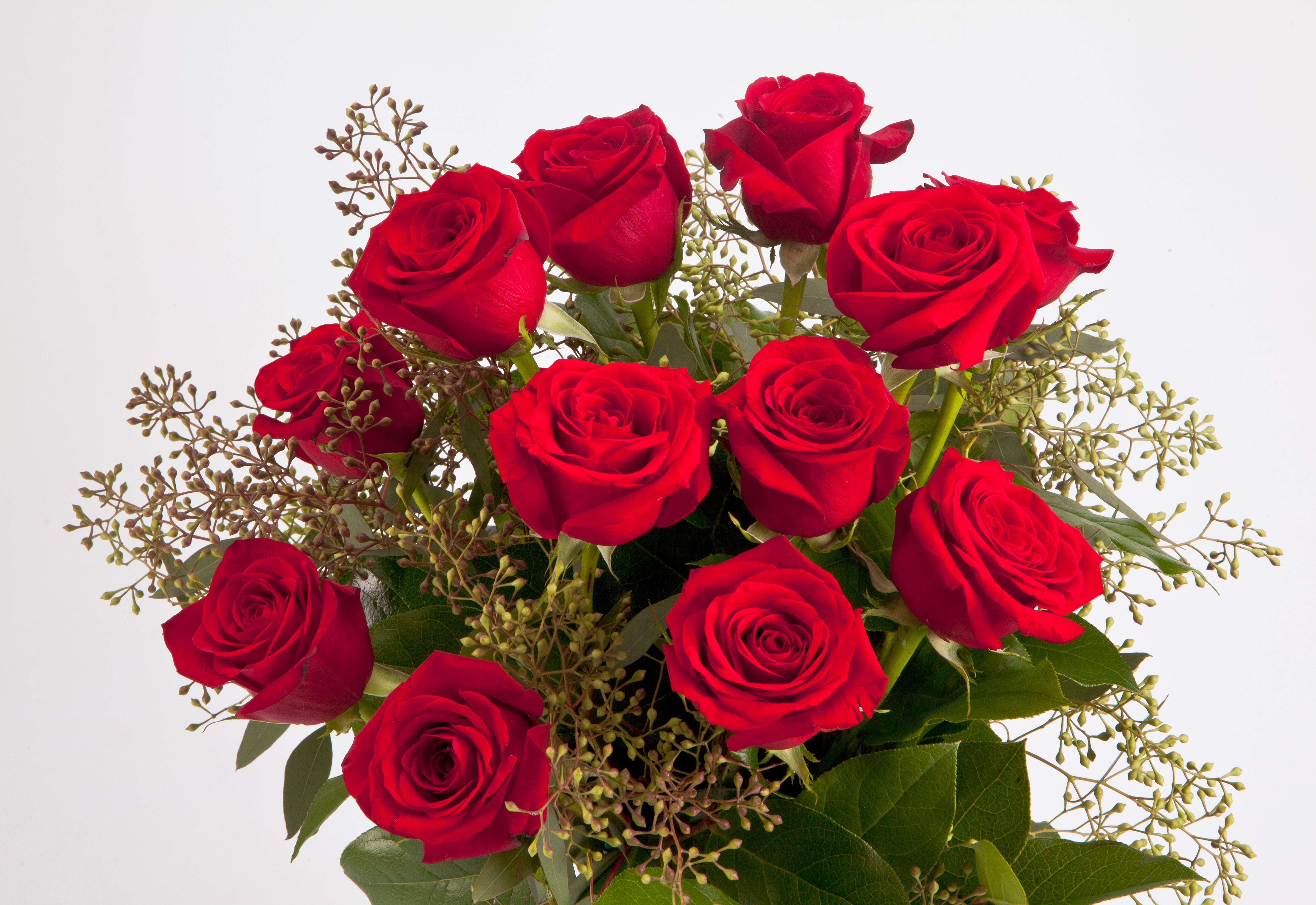 Roses – City Blossoms